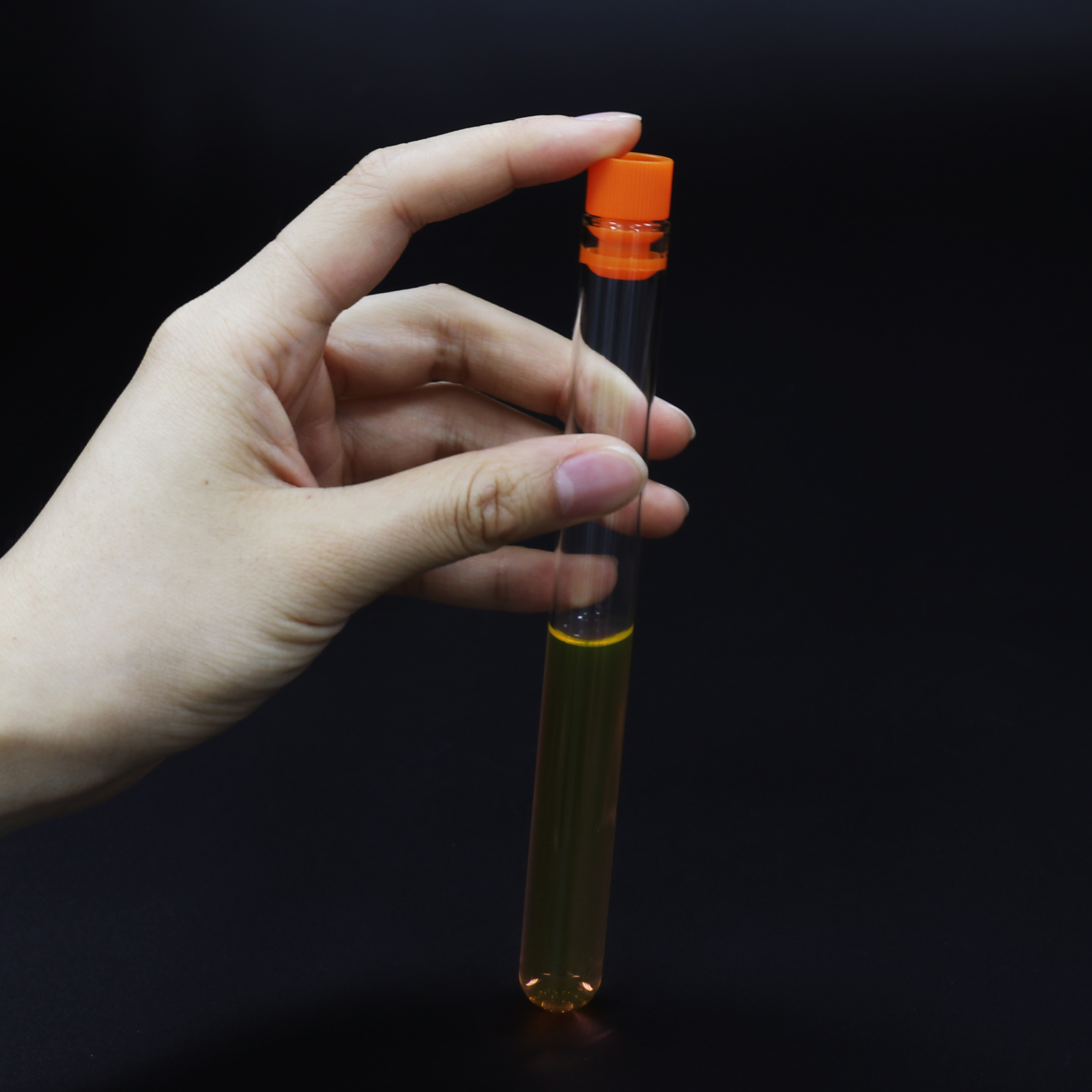 ULAB Scientific Glass Test Tubes with PE Flange Stoppers, Vol.16ml ...